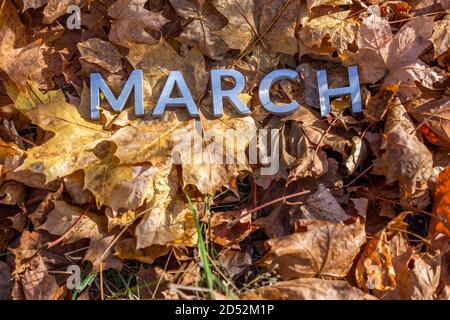 the word march laid with silver metal letters on the ground dry maple ...