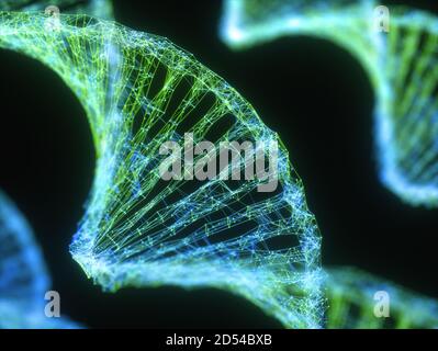 Ribonucleic acid strands, illustration Stock Photo - Alamy