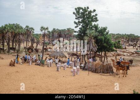 Market Day in Guidiguir, Niger, near Goure, southeastern Niger ...