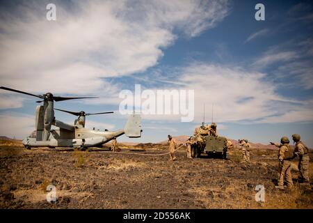 Marines with 2D Light Armored Reconnaissance Battalion, Special Purpose ...