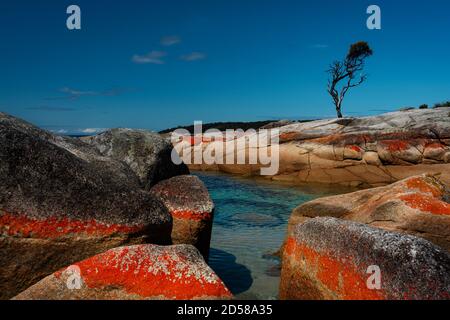Binalong Bay Beach in Tasmania Australia Stock Photo - Alamy