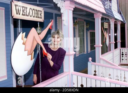 Chicken Ranch, legal brothel, Pahrump, Nevada, USA, North America Stock ...