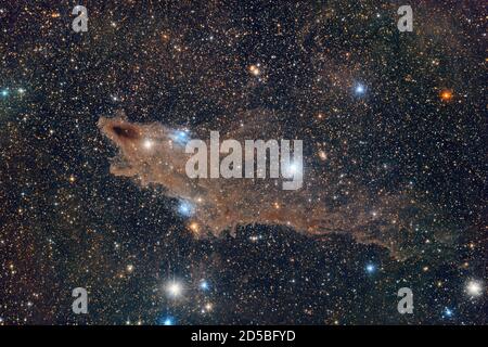 The Shark nebula - LDN1235 Stock Photo - Alamy