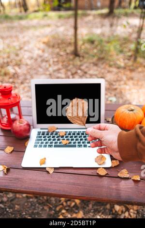 Orange pumpkin and leaves near laptop computer on a table. Autumn ...