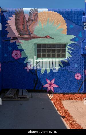 "Birds of 'Burque" mural at Little Bird de Papel studio, Sandhill Crane ...