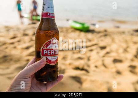 peroni beer in hand at the beach Stock Photo - Alamy