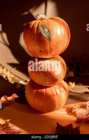 Halloween composition with small pumpkins dried leaves holiday concept ...