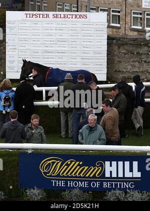 Catterick Races - Horse Racing Stock Photo - Alamy