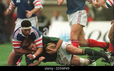 Rugby Union - France v South Africa Stock Photo - Alamy