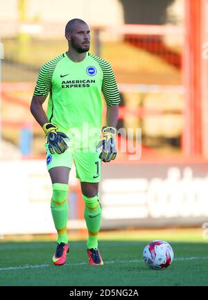 Brighton and Hove Albion goalkeeper Nicky Maenpaa Stock Photo - Alamy