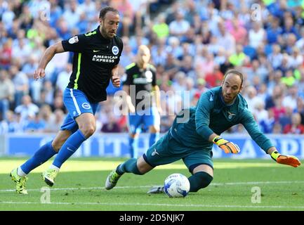 Brighton's Glenn Murray (left) is challenged by Lazio's Ivan Vargic ...