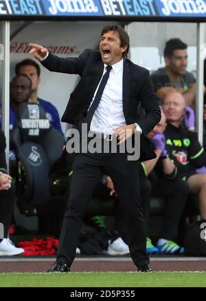 Chelsea's manager Antonio Conte Stock Photo - Alamy