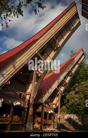 Traditional Tongkonan houses with boat-shaped saddleback roof with ...