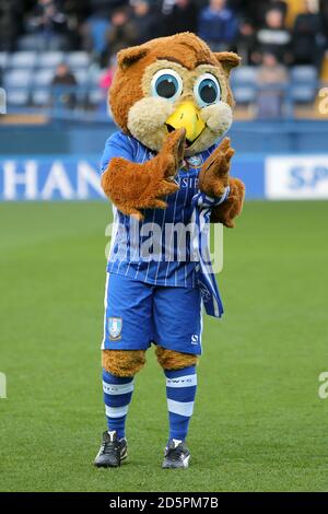 Sheffield Wednesday mascot Barney Owl Stock Photo - Alamy
