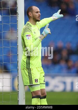 Fulham goalkeeper David Button Stock Photo - Alamy
