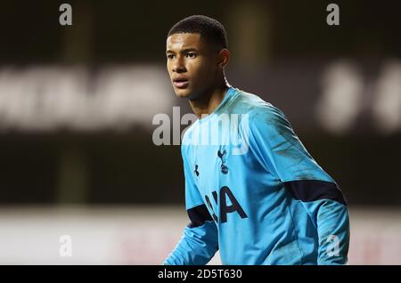 Tottenham Hotspur goalkeeper Brandon Austin during the Premier League ...
