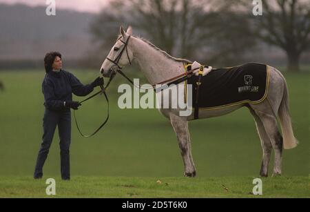 Horse Racing - Venetia Williams Stables Open Day Stock Photo - Alamy