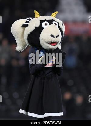 Derby County mascot Ewie Stock Photo - Alamy