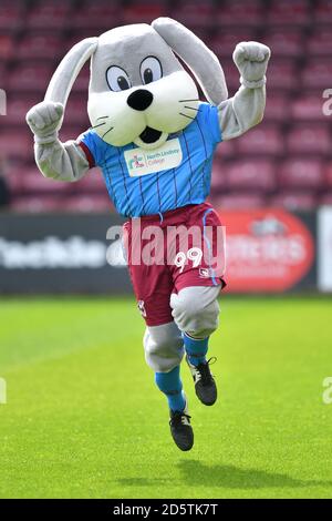 Scunthorpe United club mascot Scunny Bunny Stock Photo - Alamy