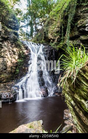 Hareshaw Linn Waterfall Bellingham Northumberland Stock Photo - Alamy