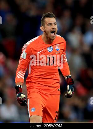 Slovakia goalkeeper Martin Dubravka Stock Photo - Alamy