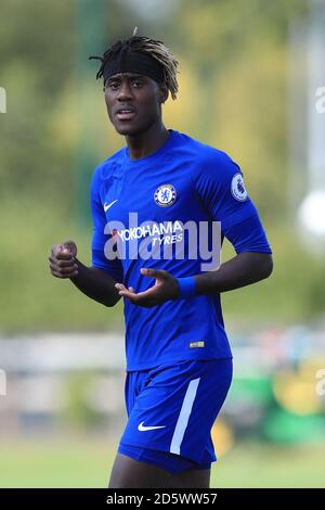 Chelsea's Luke McCormick Stock Photo - Alamy