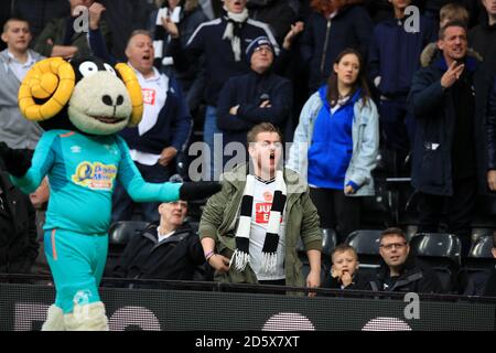 Derby County fans in the stands Stock Photo - Alamy