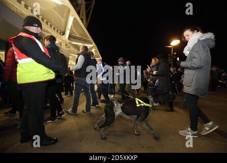 Security make checks at the gate of London Stadium Stock Photo - Alamy