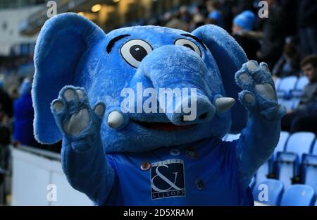 Coventry City mascot Sky Blue Sam takes pictures with the fans ahead of ...