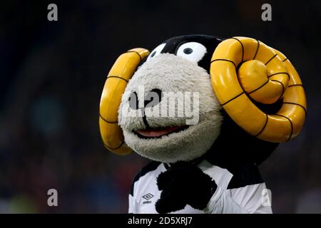 Derby County mascot Rammy the Ram Stock Photo - Alamy