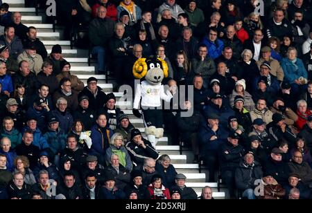 Derby County mascot Rammy the Ram Stock Photo - Alamy