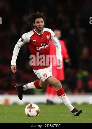 Arsenal's Mohamed Elneny Stock Photo - Alamy