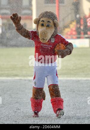 Crewe Alexandra mascot Gresty the Lion with fans before the kick off ...
