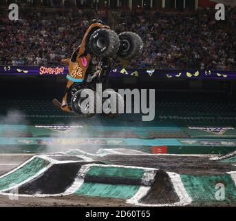 Scooby Doo (Linsey Read Stock Photo - Alamy
