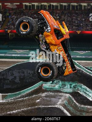 El Toro Loco (Marc McDonald Stock Photo - Alamy