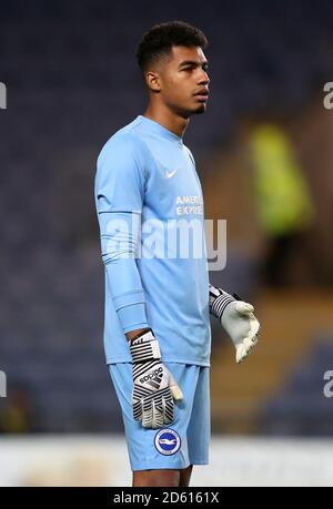 Brighton and Hove Albion's Rob Sanchez Stock Photo - Alamy