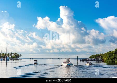 Boating Biscayne Bay, Miami Stock Photo - Alamy