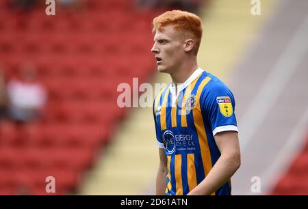 Shrewsbury Town's Ryan Haynes Stock Photo - Alamy