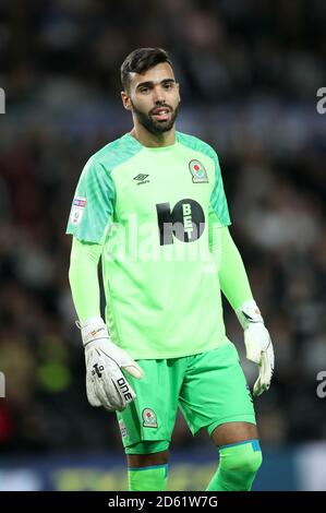 Blackburn Rovers goalkeeper David Raya Stock Photo - Alamy