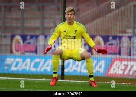 Liverpool goalkeeper Vitezslav Jaros Stock Photo - Alamy