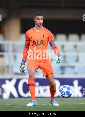 Tottenham Hotspur's Brandon Austin Stock Photo - Alamy