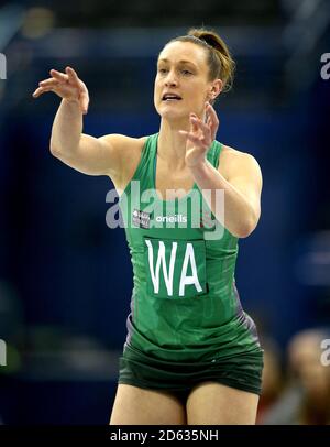 Kyra Jones, Celtic Dragons Stock Photo - Alamy