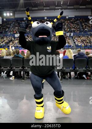 Wasps mascot Sting Stock Photo - Alamy