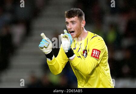 Bournemouth goalkeeper Mark Travers Stock Photo - Alamy