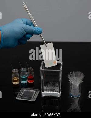 Colorful sample application of thin layer chromatography. The process ...