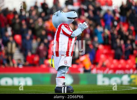 Stoke City's mascot Pottermus before the Sky Bet Championship match at ...