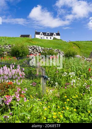 Settlement near Ham Voe, Foula Island, Shetland islands Archipelagos ...
