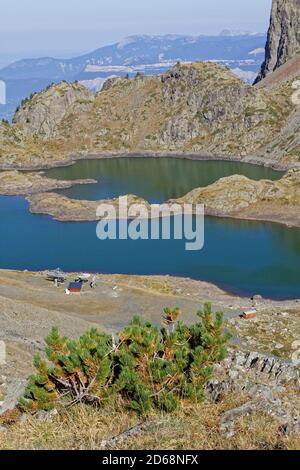 Summer mountain scenery in Chamrousse in the Alps, France Stock Photo ...