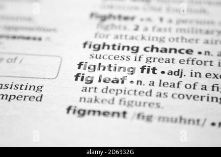 Word or phrase Fit in a dictionary Stock Photo - Alamy