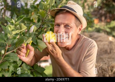 Smiling man pruning lemon tree in the garden Stock Photo - Alamy
